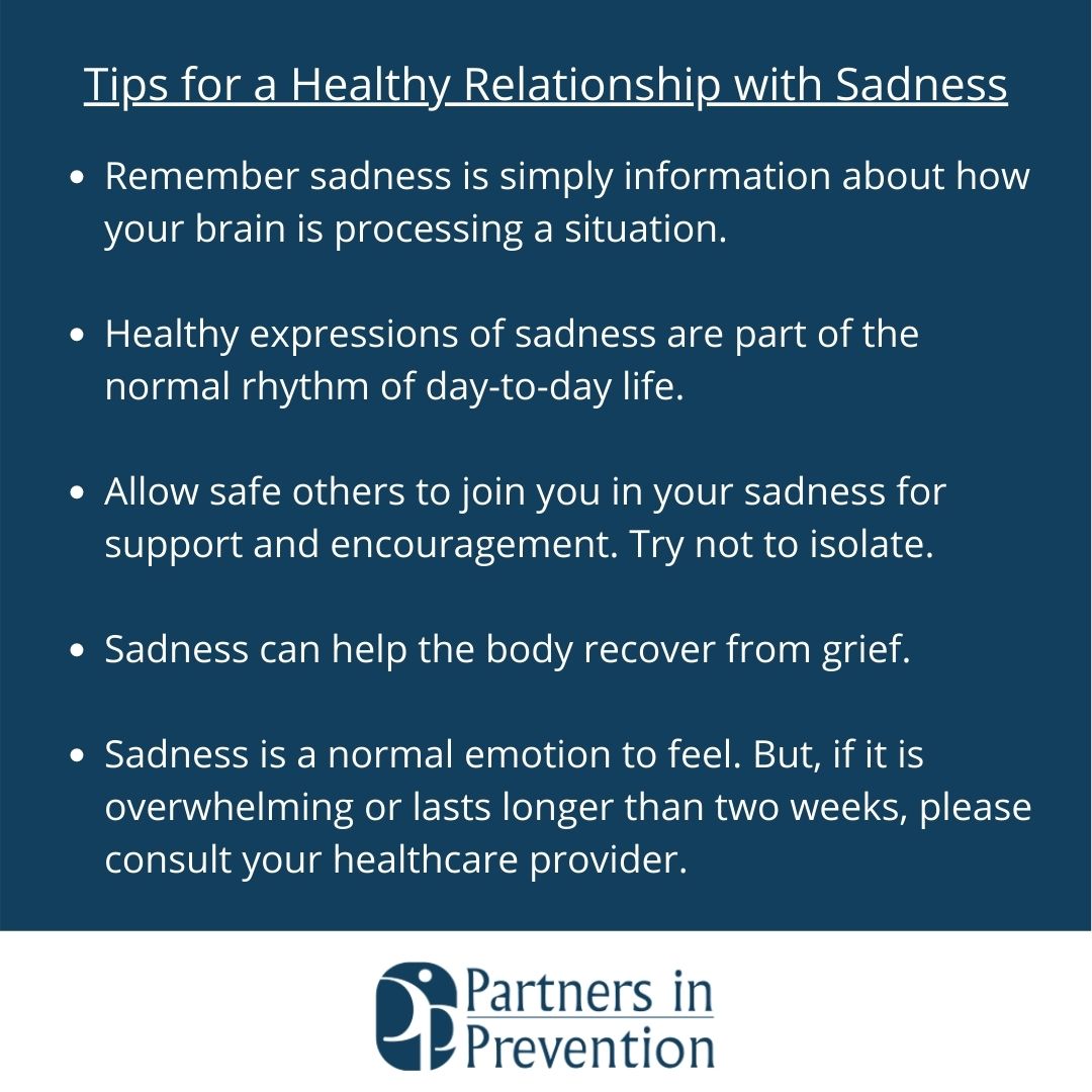 Sadness During the 2020 Holidays: Ways to Cope – Missouri Partners in ...